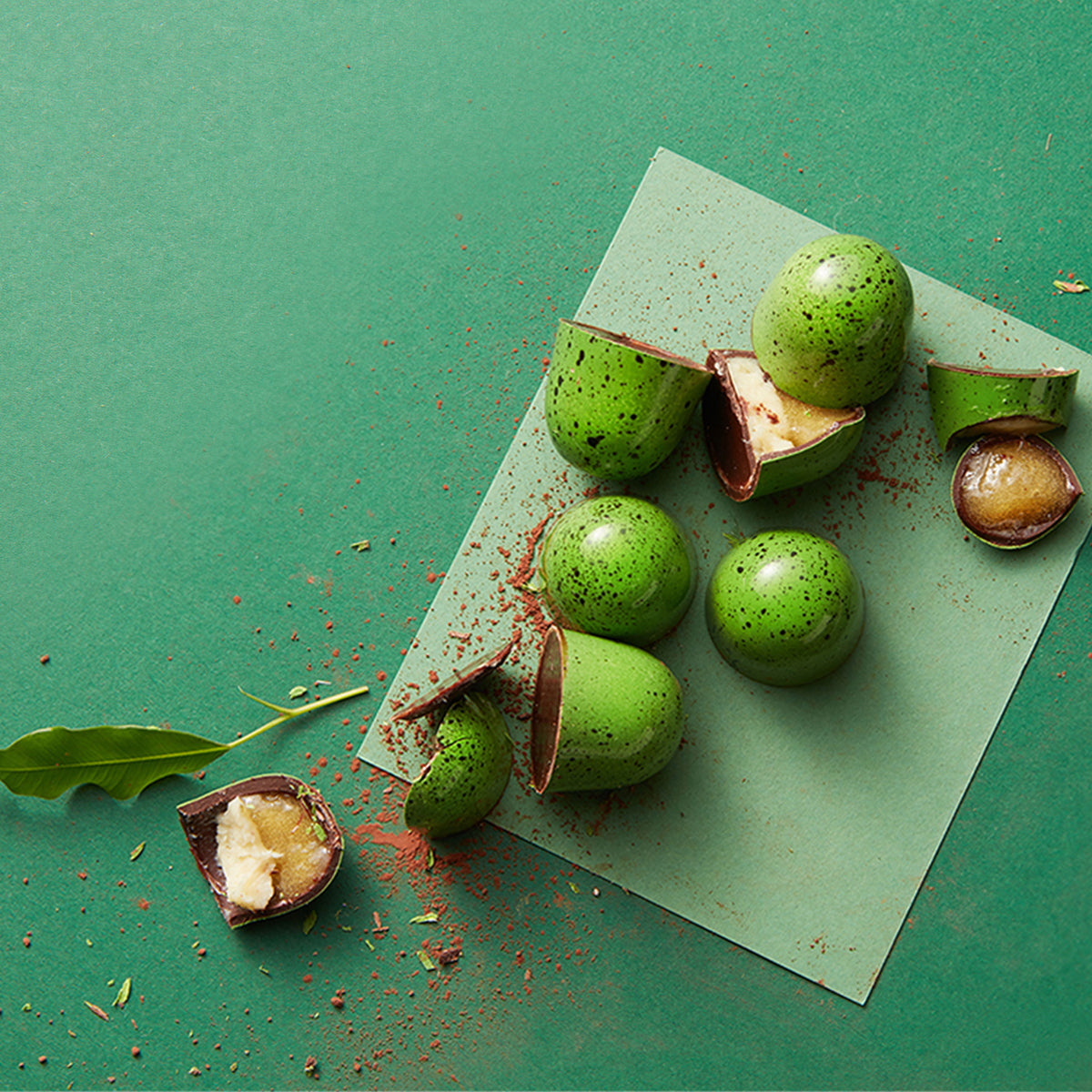 PREMIUM COLLECTION – OleOle Singapore